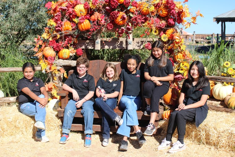 HOME - sharpacademy.net